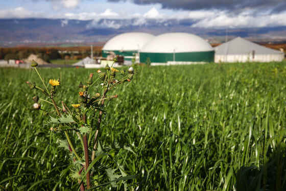 GRDF - Projet Méthanisation | Valorisation du CO2 biogénique